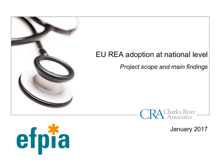 欧盟在国家一级采用 REA - 关键发现