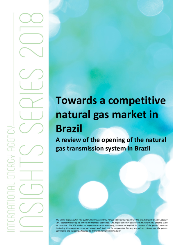 Towards a competitive natural gas market in Brazil