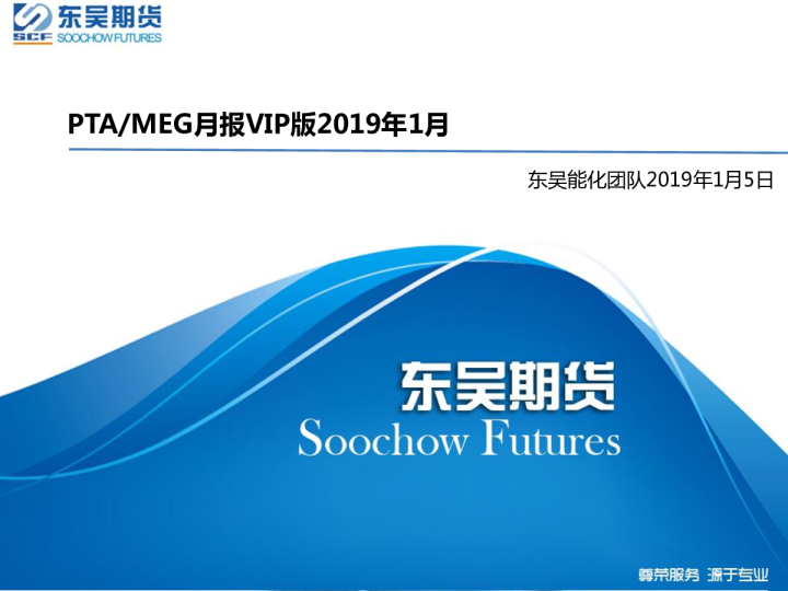 PTA、MEG月报VIP版2019年1月