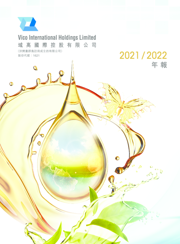 域高国际控股2021 2022年报