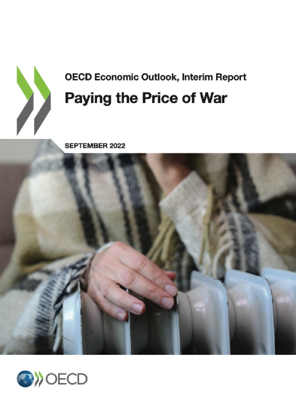 2022年中期全球经济展望报告