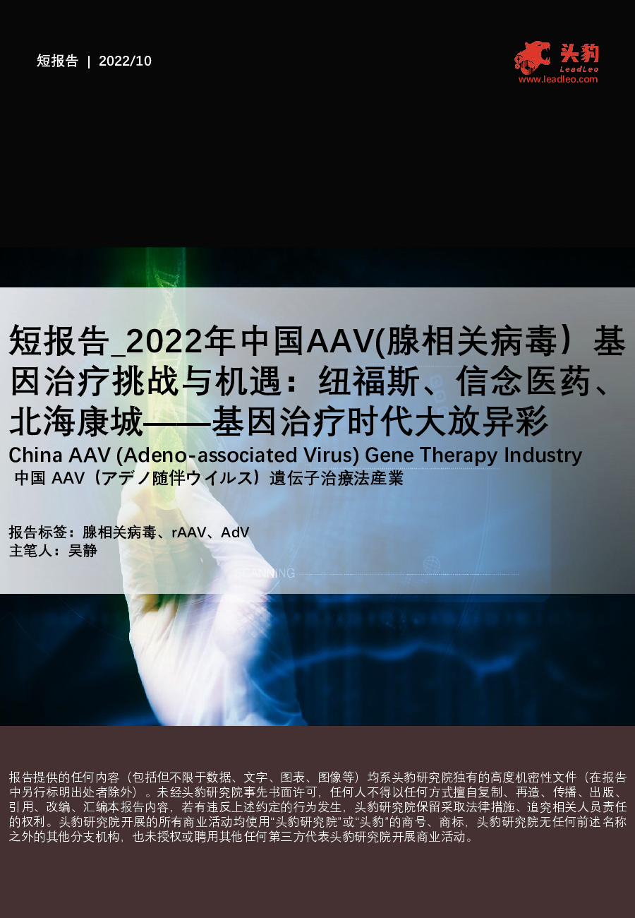 点击免费查看完整报告