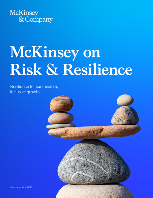 McKinsey on Risk & Resilience
