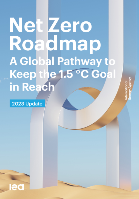 Net Zero Roadmap: A Global Pathway to Keep the 1.5 °C Goal in Reach