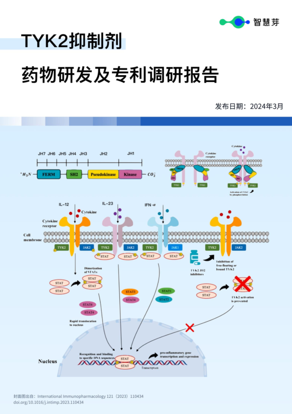 2024年TYK2抑制剂药物研发及专利调研报告