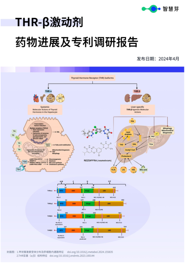 THR-β 激动剂药物进展及专利调研报告