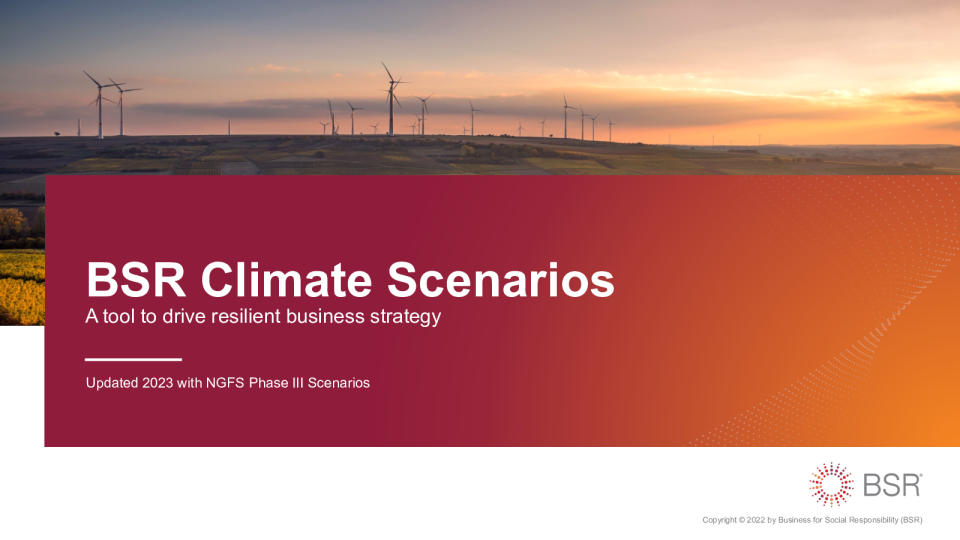 BSR Climate Scenarios