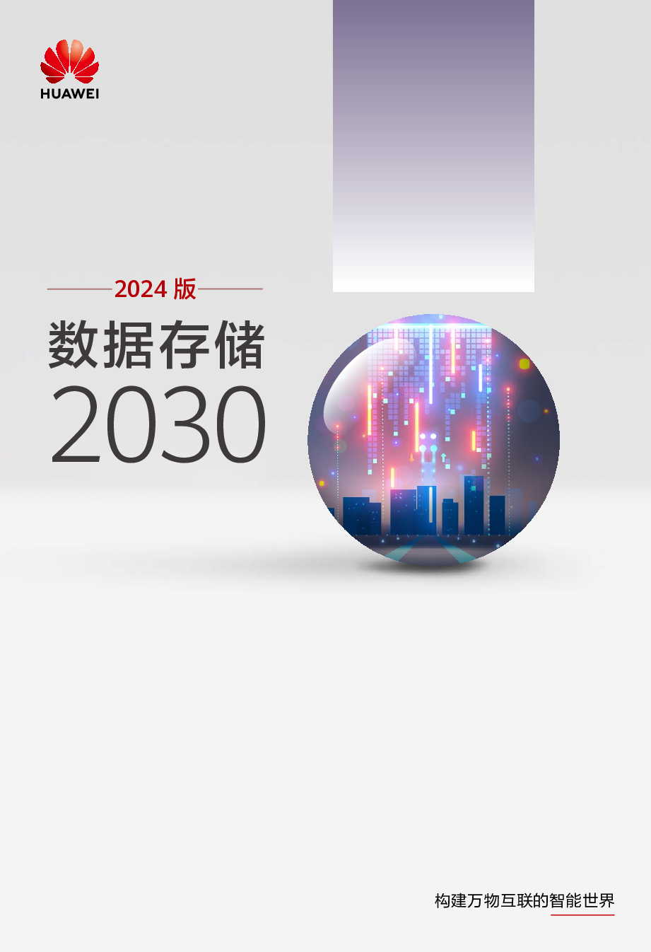 数据存储2030（2024版）