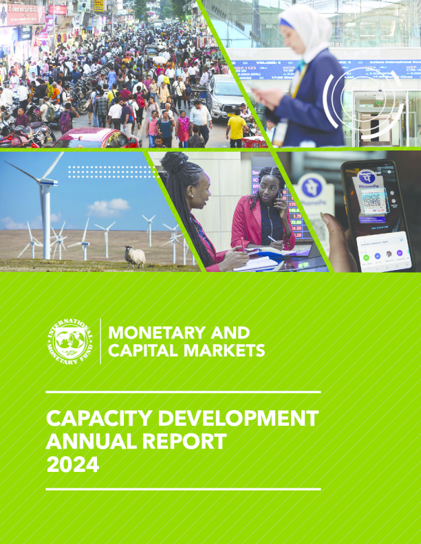 2024 年 MCM 产能发展年度报告(汉)