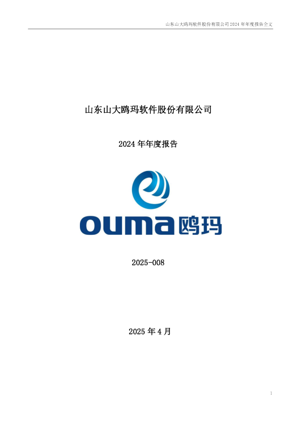 鸥玛软件：2024年年度报告