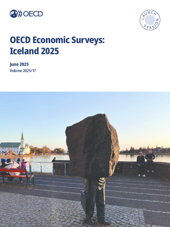 经合组织经济调查：冰岛2025